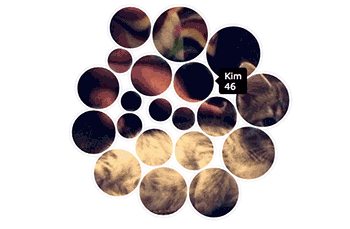 Cat Bubbles / Visualize with PlotDB